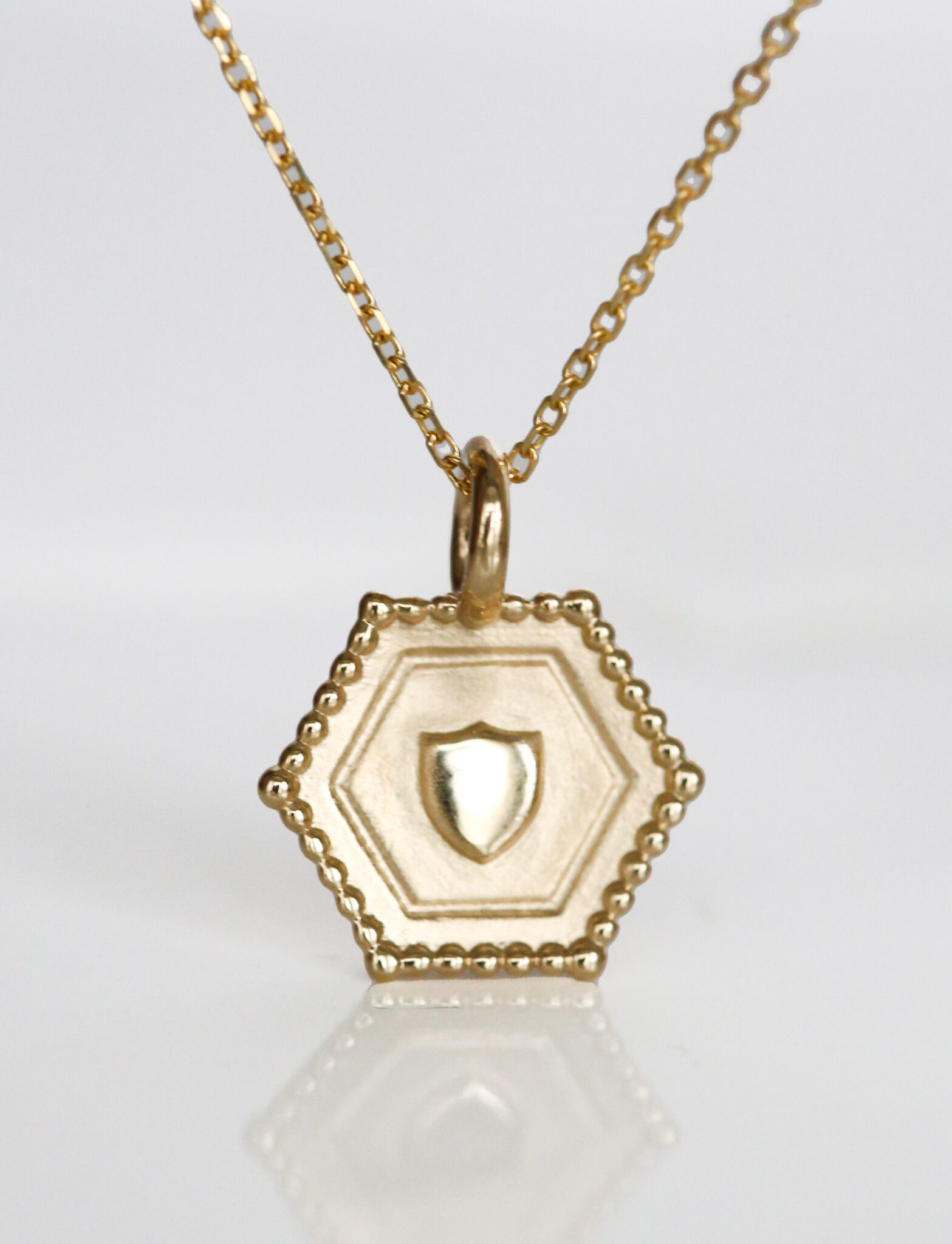 Cherished Locket Necklace 14k Gold | Lockets for your Story Erin Pelicano